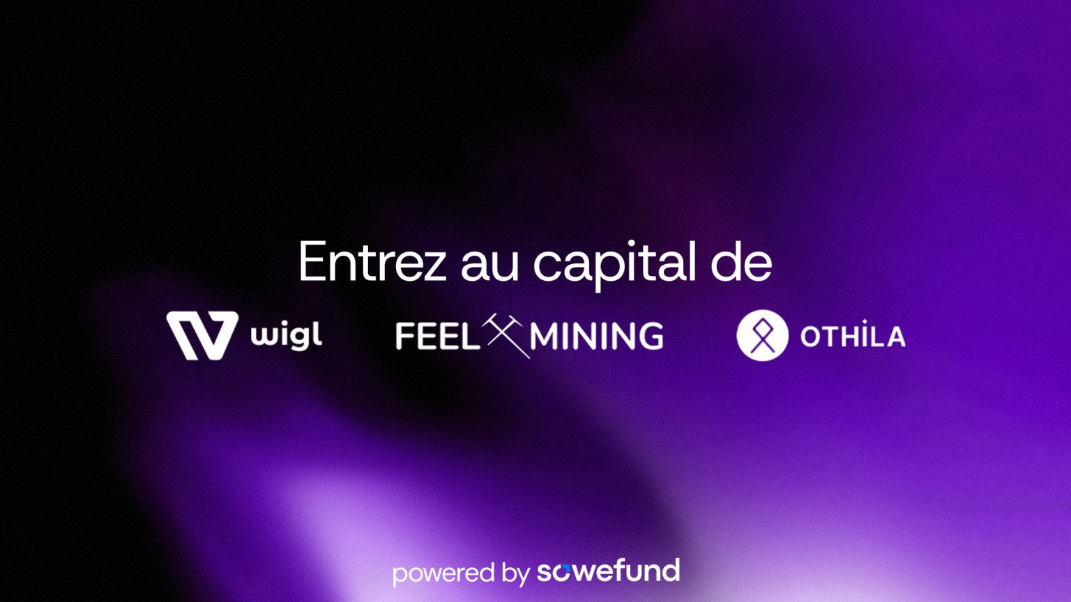 Wigl ouvre son capital à sa communauté : 1,5 million d'euros levés sur ...